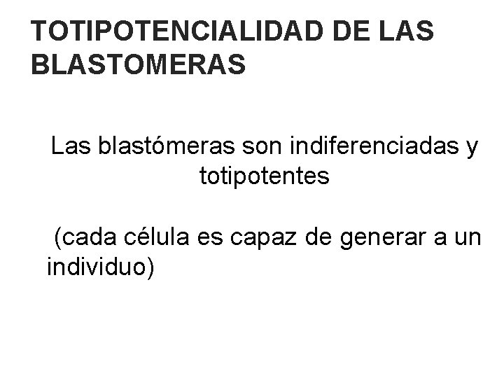 Dra Carolina Fuentes Brquez Desarrollo Embrionario Primera semana