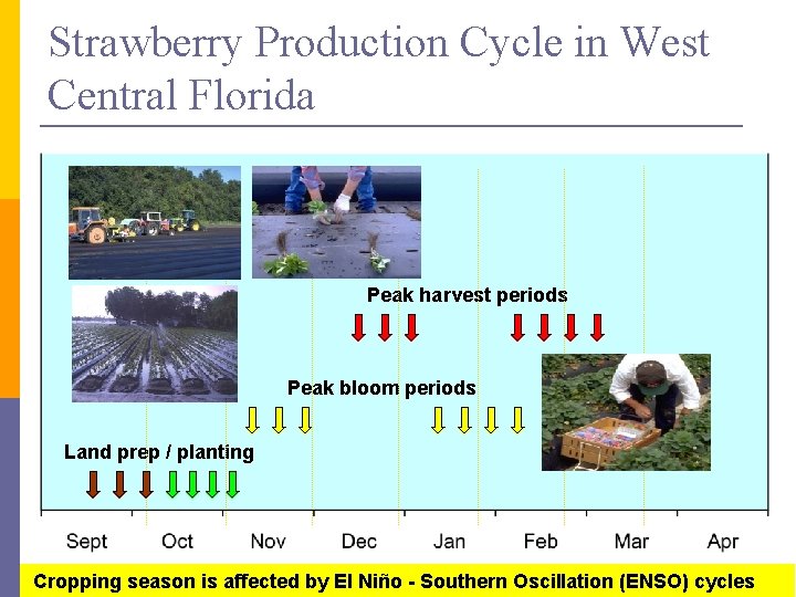 Strawberry Disease Monitoring and Forecasting System Clyde Fraisse