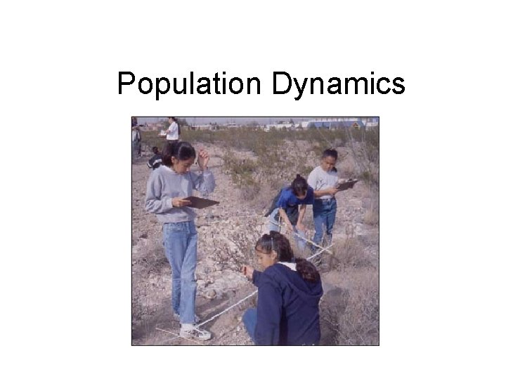 Population Dynamics Population Dynamics Populations of plants and