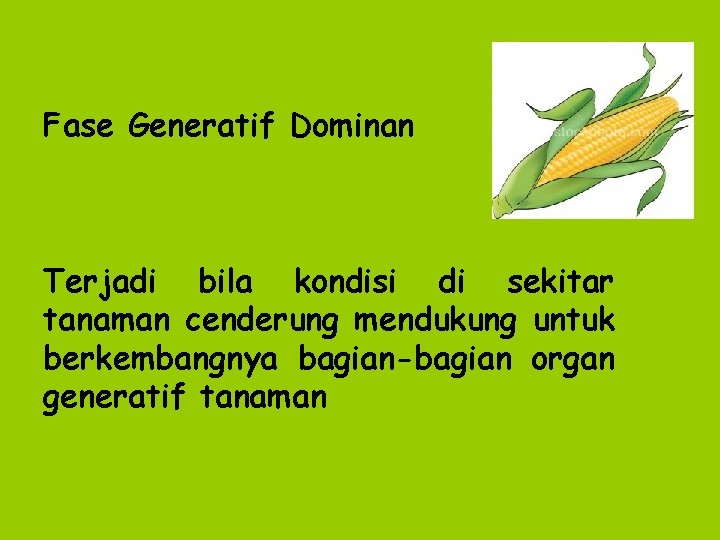 Fase PERTUMBUHAN DAN produksi tanaman Pertumbuhan adalah proses