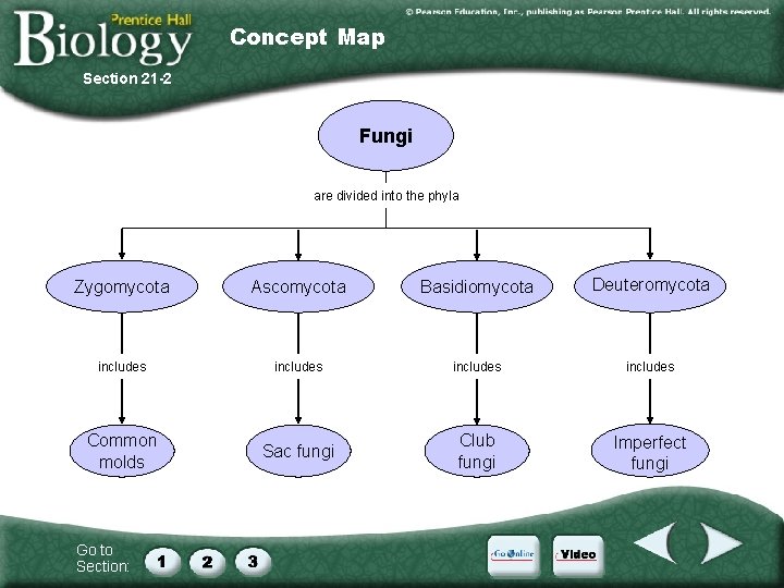 Fungus Picture Notes Go to Section Concept Map