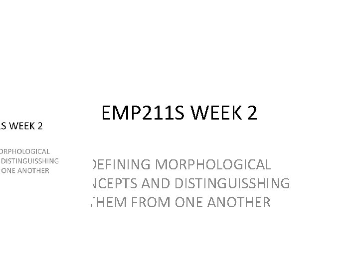 EMP 211 S WEEK 2 DEFINING MORPHOLOGICAL CONCEPTS