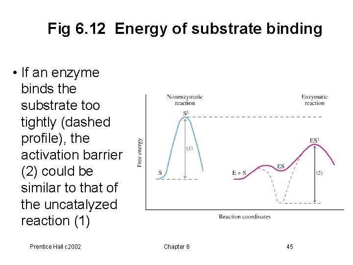 Horton Moran Scrimgeour Perry Rawn Principles of Biochemistry