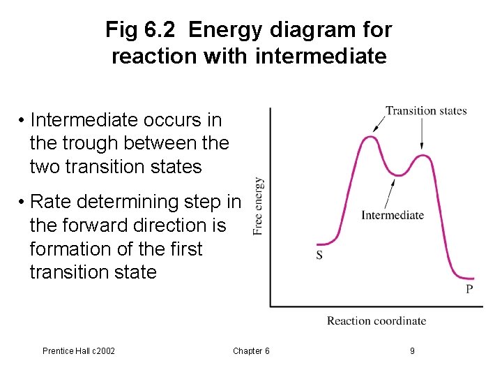 Horton Moran Scrimgeour Perry Rawn Principles of Biochemistry
