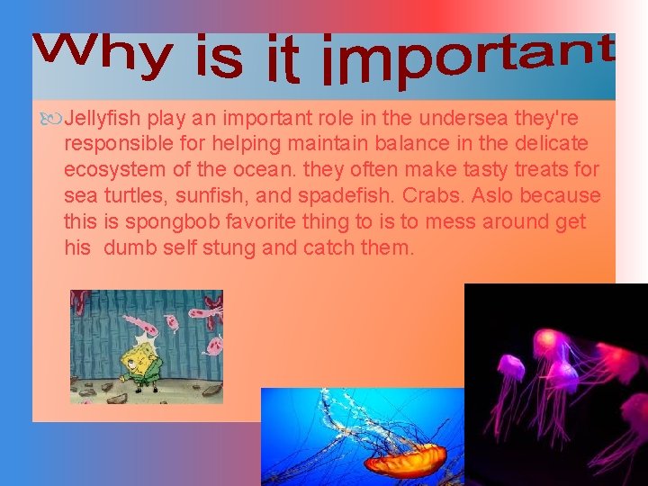 JELLY FISH FISH BY Tyrel Allicock Michael Wilson