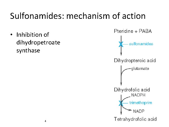 Antifolate drugs Sulfonamides Trimethoprim Sulfamethoxazole mixture 2 Lead