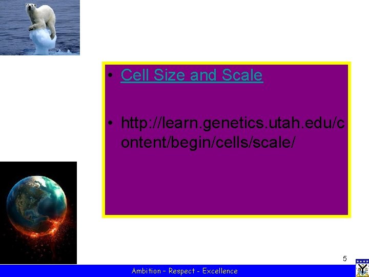 Ardrossan Academy Dead Earth Subtopic Plant Cells 1