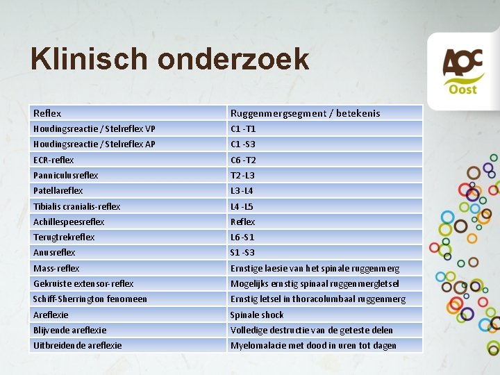 Rug aandoeningen Inhoud Anatomie wervelkolom Wobbler syndroom Hernia