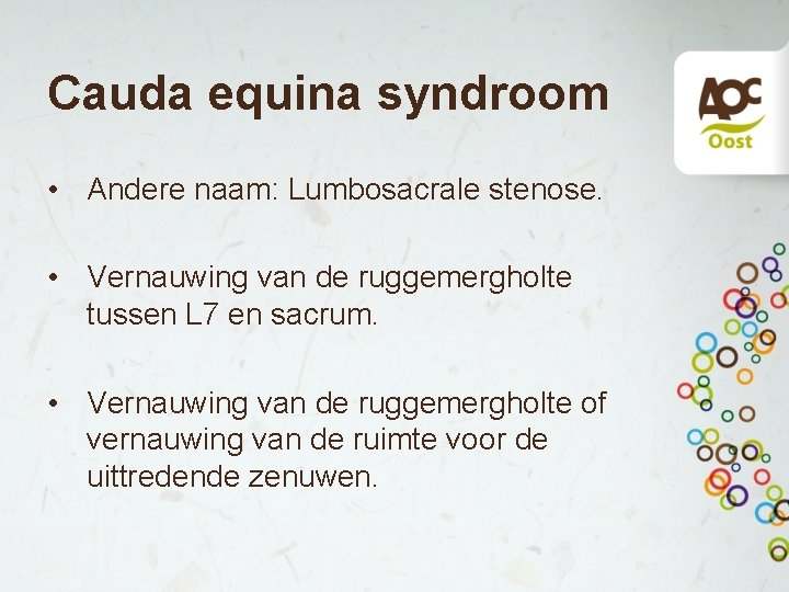 Rug aandoeningen Inhoud Anatomie wervelkolom Wobbler syndroom Hernia