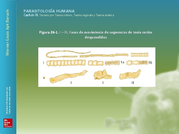 PARASITOLOGA HUMANA Captulo 26 Teniasis por Taenia solium