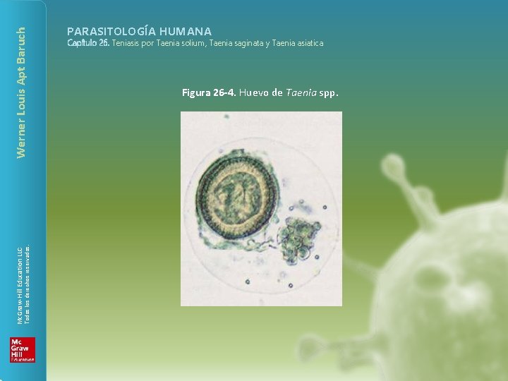 PARASITOLOGA HUMANA Captulo 26 Teniasis por Taenia solium