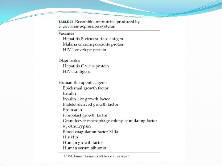 Heterologous Protein Production in Eukaryotic Cells Gene Expression