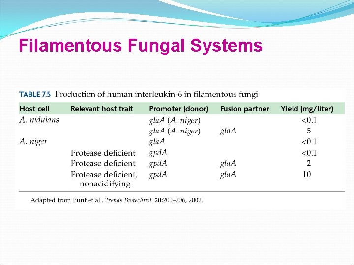 Heterologous Protein Production in Eukaryotic Cells Gene Expression
