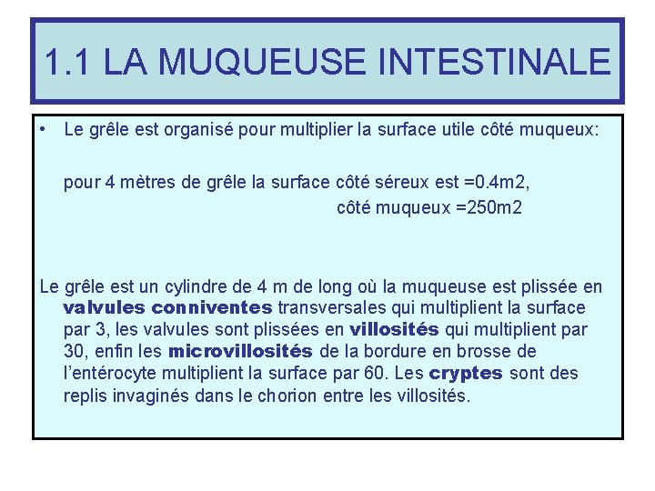PHYSIOLOGIE DU GRELE Le grle constitue une interface