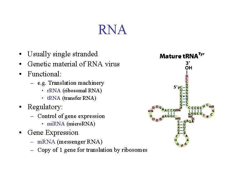 8 Nucleotides and Nucleic Acids Chapter 8 Lehninger