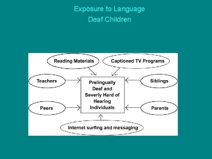 10 Things You Should Know about Reading Vocabulary