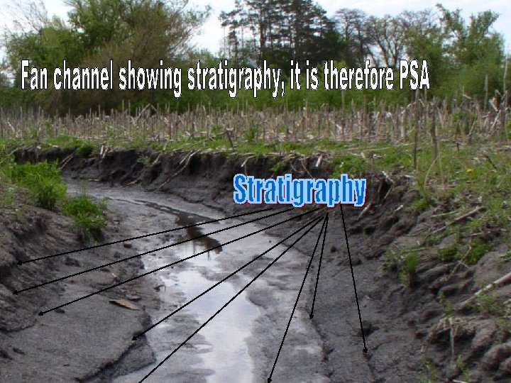 HOW TO IDENTIFY AN ALLUVIAL FAN A landform