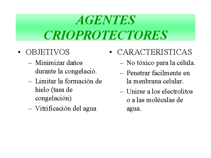 CONSERVACIN Y CONTROL DE CEPAS MICROBIANAS Coleccin de
