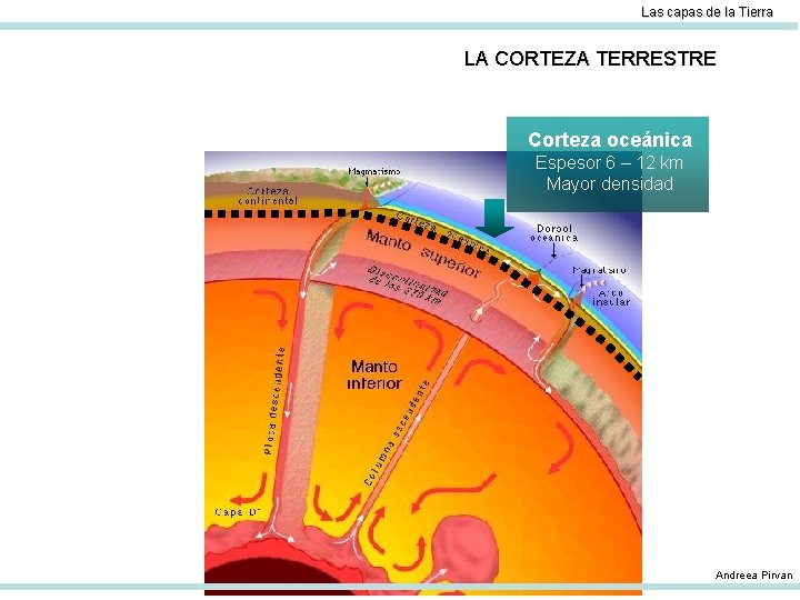 TECTNICA DE PLACAS El origen del relieve terrestre