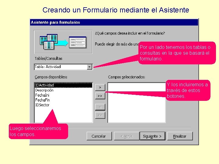 Ventana de la Base de Datos Ficha Formularios