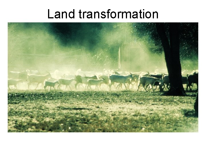 Carbon cycle units Gt C 10 15 g