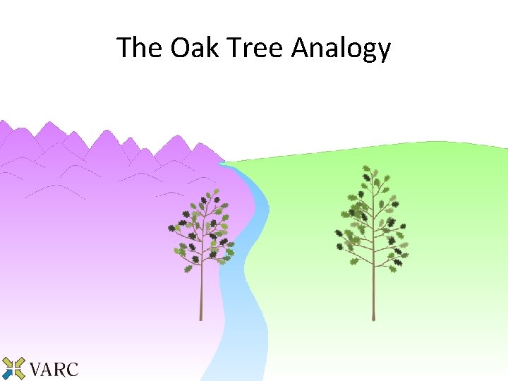 The Oak Tree Analogy Explaining the concept of