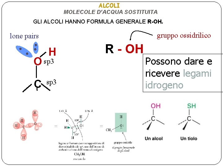 ALCOLI MOLECOLE DACQUA SOSTITUITA GLI ALCOLI HANNO FORMULA