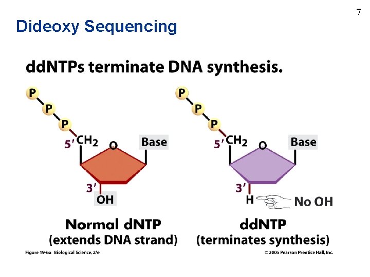 Power Point Slide Set to Accompany Using MMs