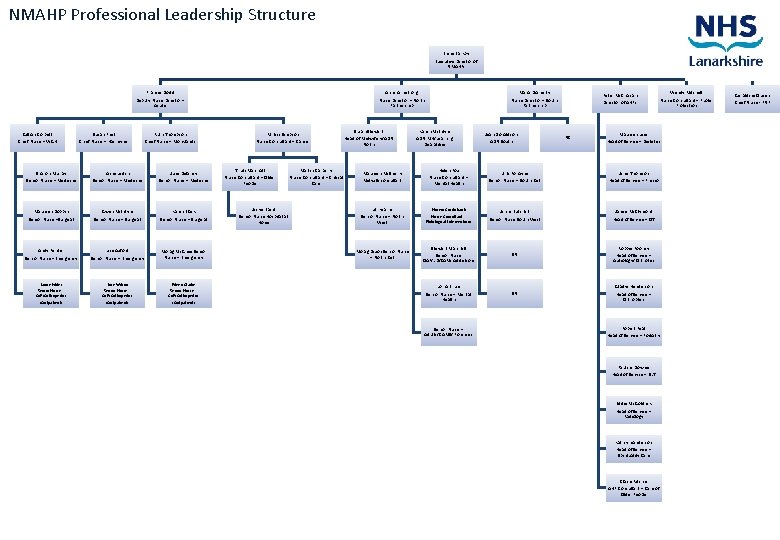 NMAHP Professional Leadership Structure Irene Barkby Executive Director