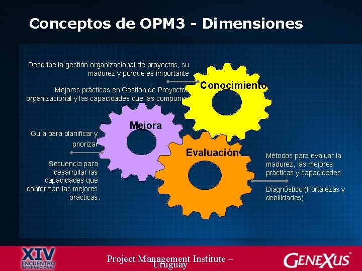 Organizational Project Management Maturity Model OPM 3 Lic