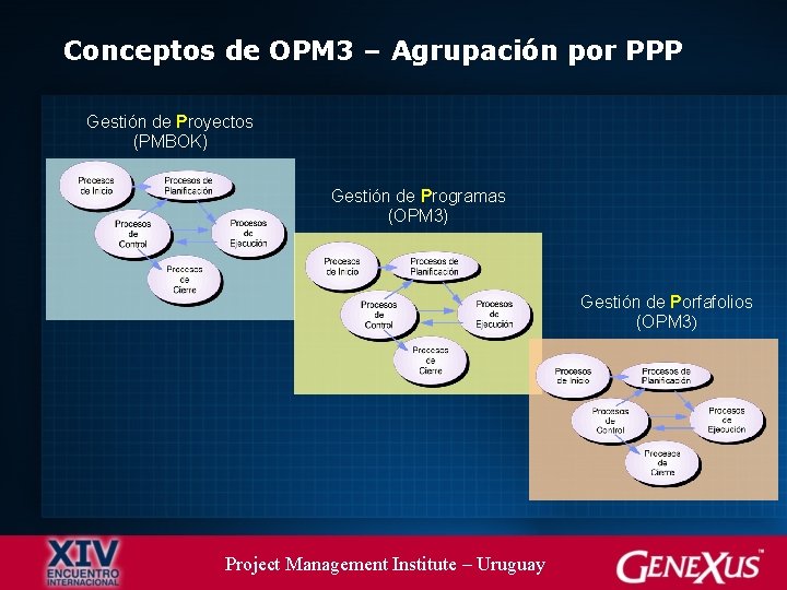 Organizational Project Management Maturity Model OPM 3 Lic