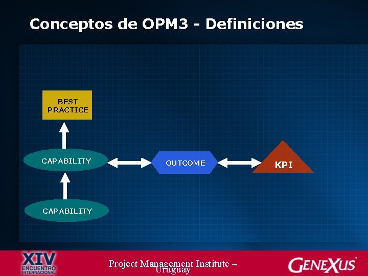 Organizational Project Management Maturity Model OPM 3 Lic