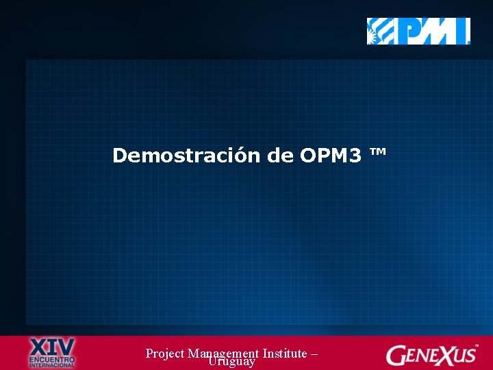 Organizational Project Management Maturity Model OPM 3 Lic