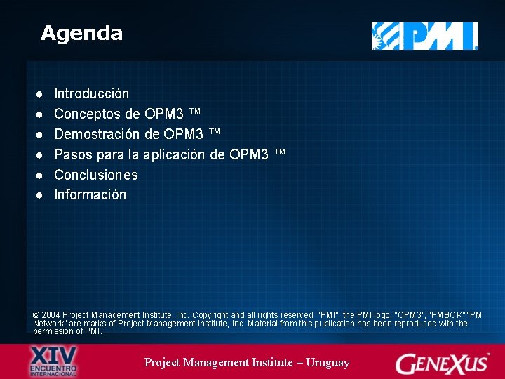 Organizational Project Management Maturity Model OPM 3 Lic