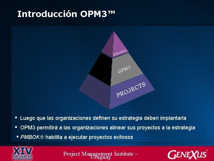 Organizational Project Management Maturity Model OPM 3 Lic