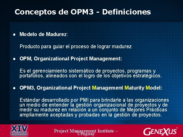 Organizational Project Management Maturity Model OPM 3 Lic
