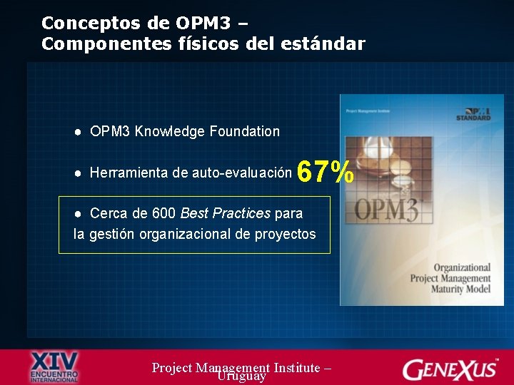 Organizational Project Management Maturity Model OPM 3 Lic