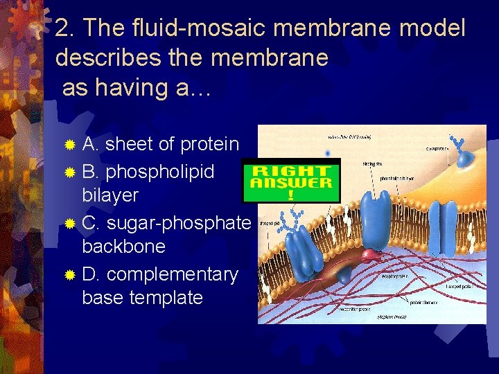 Cell membrane and Transport Biology 12 1 Carrier