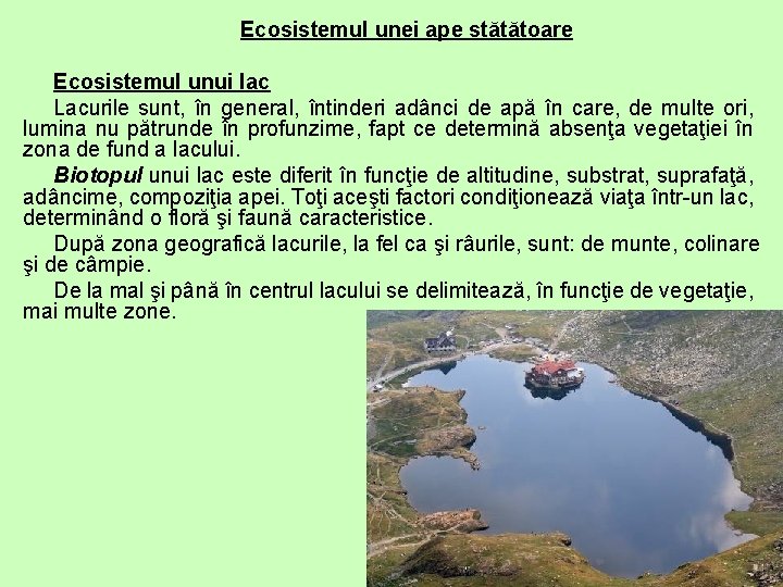 Ecosistemul unei ape curgtoare Prof Pop Aurel Ecosistemele