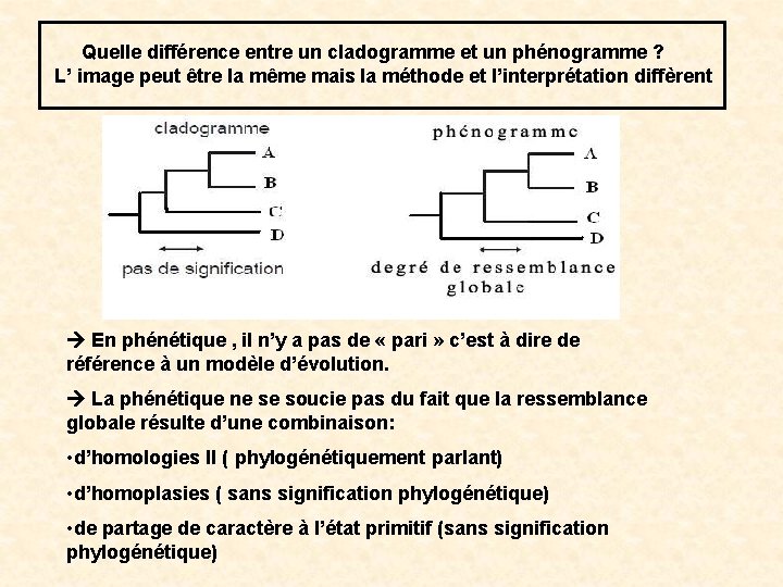 Cladogramme Construction dun cladogramme Guide critique de lvolution