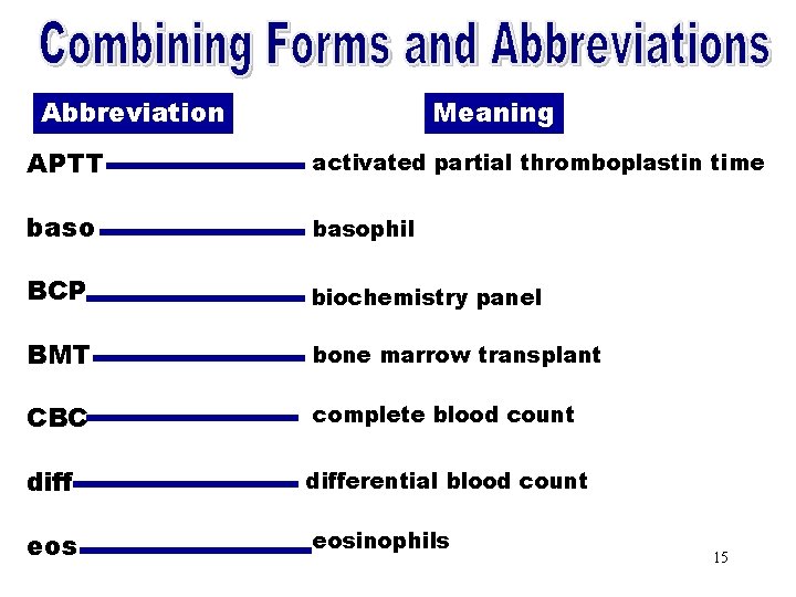 The Blood System Arteries Veins 1 Objectives After