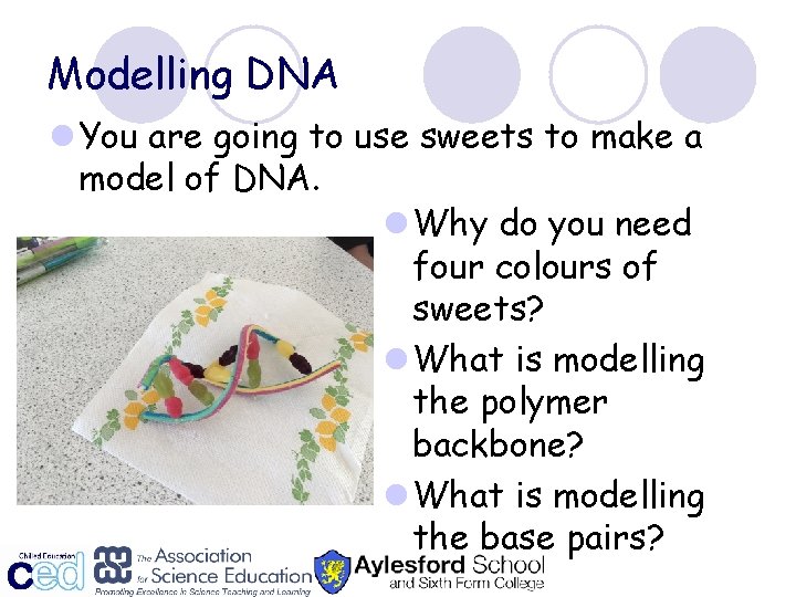 Modelling DNA Which is the odd one out