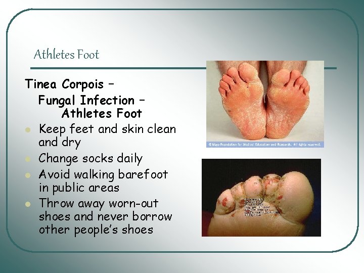 Hygiene From Head to Toe Keep It Clean