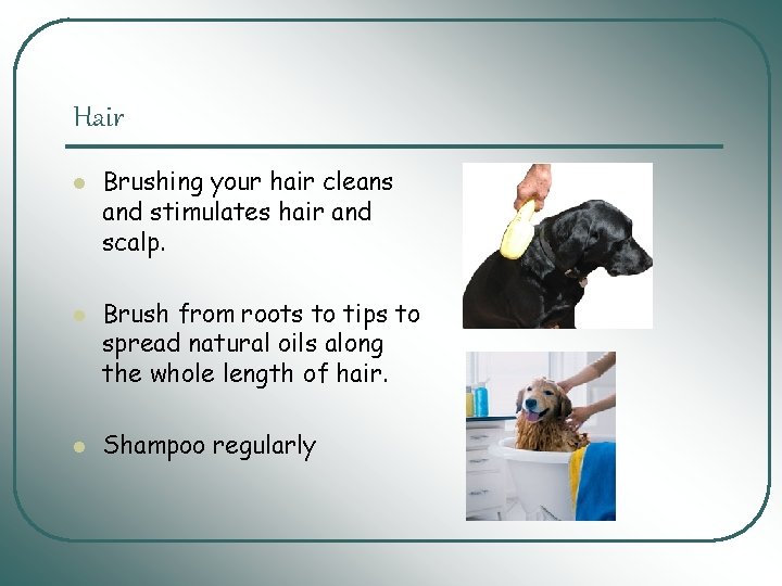 Hygiene From Head to Toe Keep It Clean
