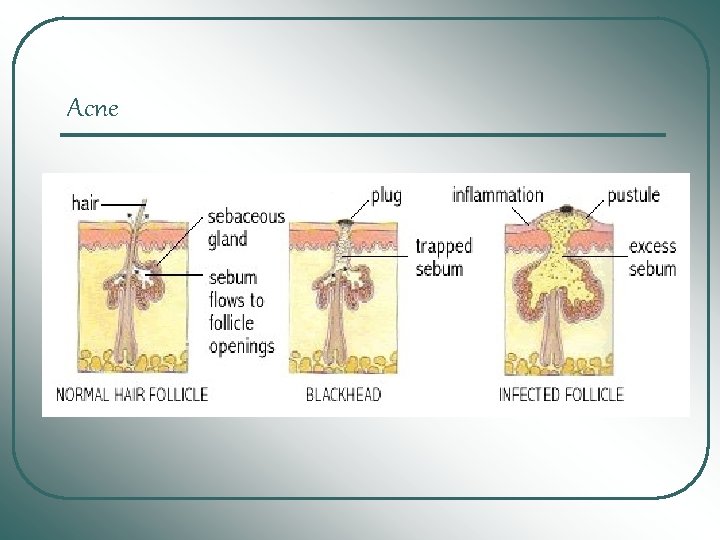 Hygiene From Head to Toe Keep It Clean