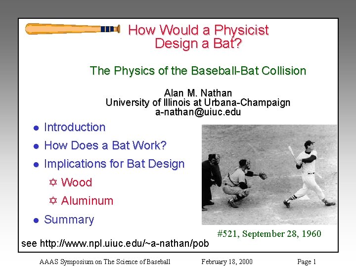 How Would a Physicist Design a Bat The