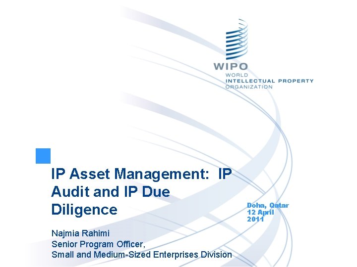 IP Asset Management IP Audit and IP Due