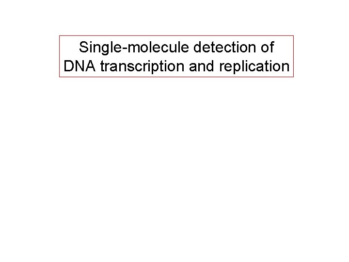 Singlemolecule detection of DNA transcription and replication Transcription