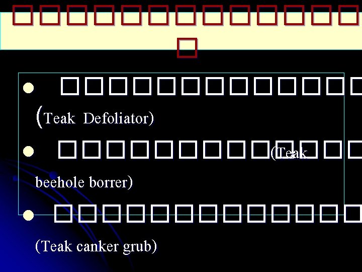 Insect Pest of Teak Trees http www weekendhobby