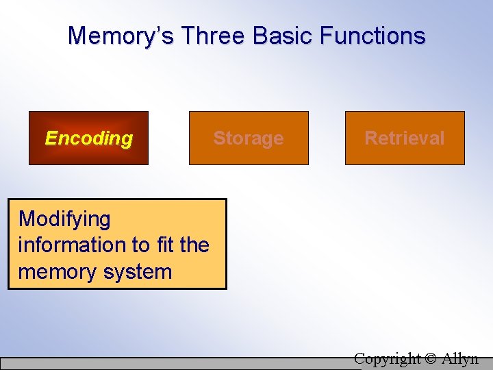 Chapter 7 Cognition Lets begin with an activity
